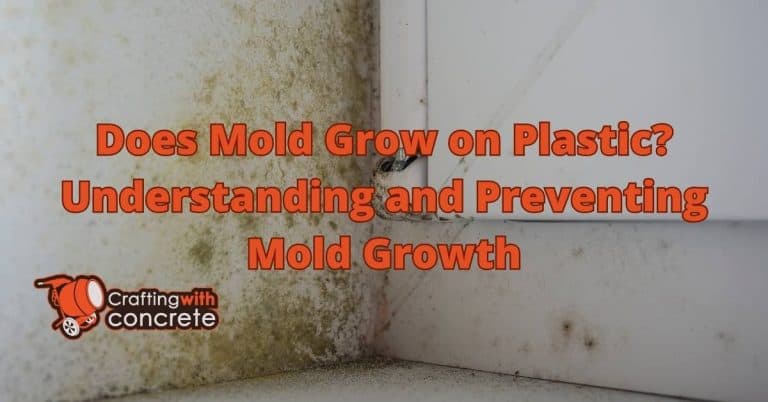 Can Mold Grow on Plastic Surfaces? - craftingwithconcrete.com