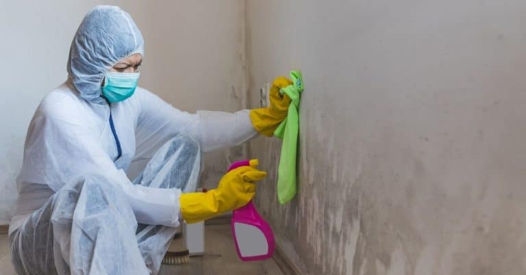 Does Salt Kill Mold? Discover the Truth - craftingwithconcrete.com
