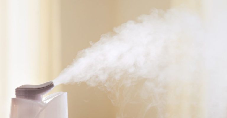 DIY Guide: How to Make a Humidifier at Home - craftingwithconcrete.com