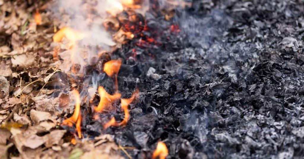 Safely Burn Leaves: Step-by-Step Guide - craftingwithconcrete.com
