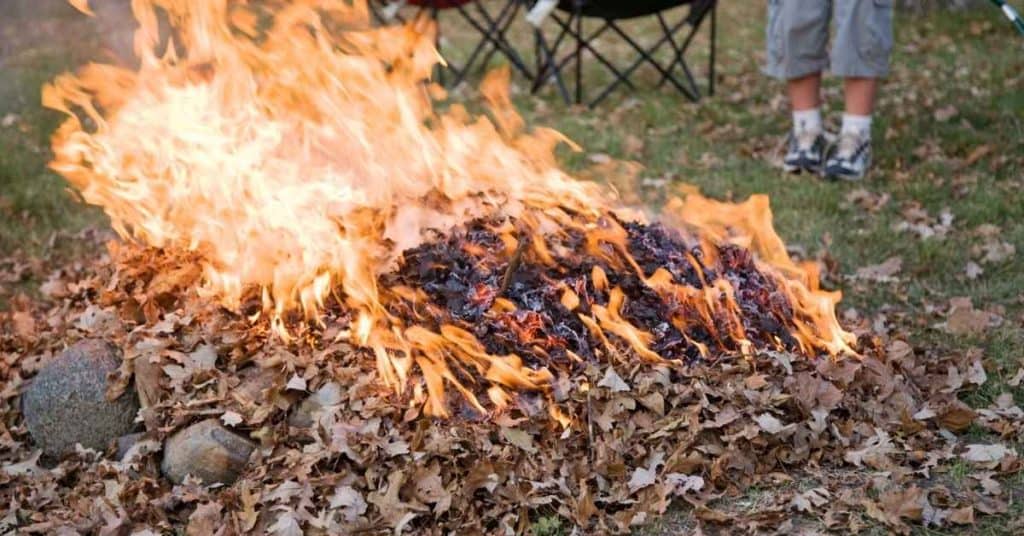Safely Burn Leaves: Step-by-Step Guide - craftingwithconcrete.com