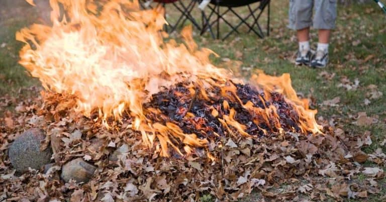 Safely Burn Leaves: Step-by-Step Guide - craftingwithconcrete.com