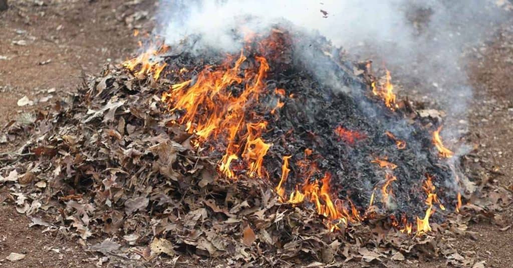 Safely Burn Leaves: Step-by-Step Guide - craftingwithconcrete.com