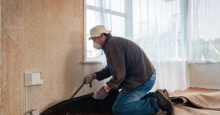 Expert Guide: How to Remove Carpet Tack Strips Easily ...
