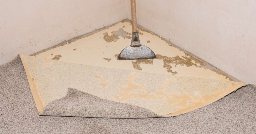 Expert Guide: How to Remove Carpet Tack Strips Easily ...