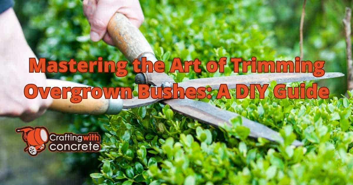Trim Overgrown Bushes: Step-by-Step Guide - craftingwithconcrete.com
