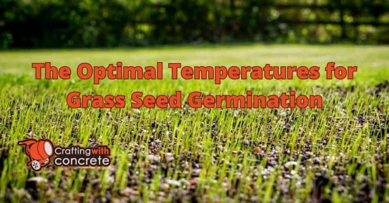 Optimal Grass Germination Temperature Guide - craftingwithconcrete.com