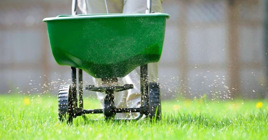 Optimal Grass Germination Temperature Guide - craftingwithconcrete.com