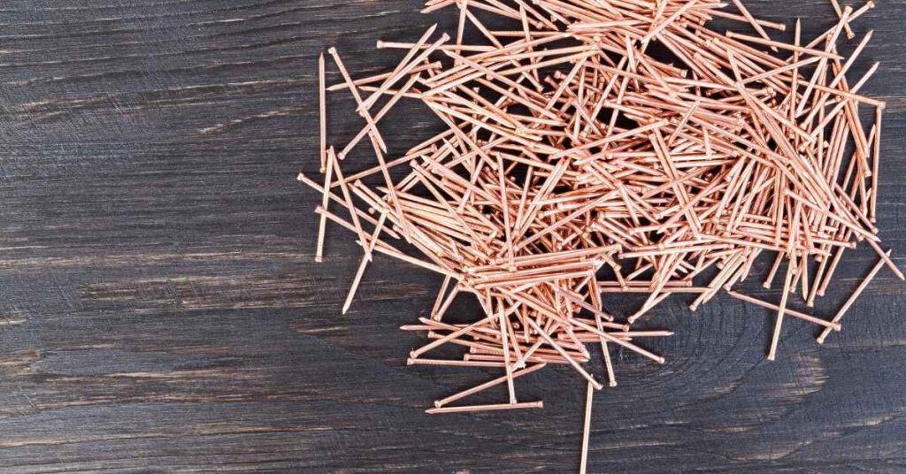 Do Copper Nails Really Kill Trees? Find Out! - craftingwithconcrete.com