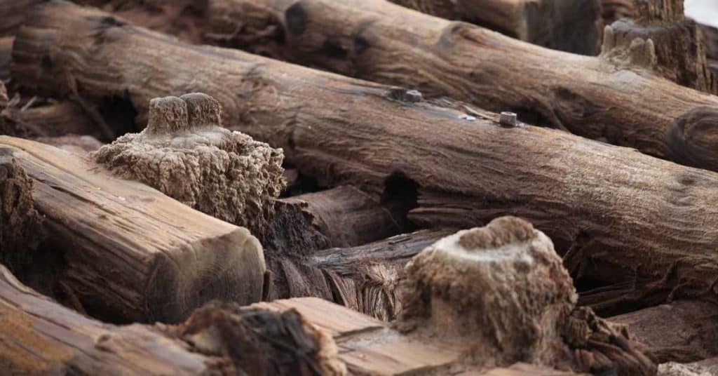 Building a Wood Foundation: Step-by-Step Guide - craftingwithconcrete.com