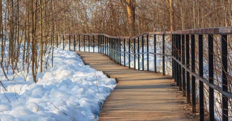 Build a Walkway on a Slope: Step-by-Step Guide - craftingwithconcrete.com