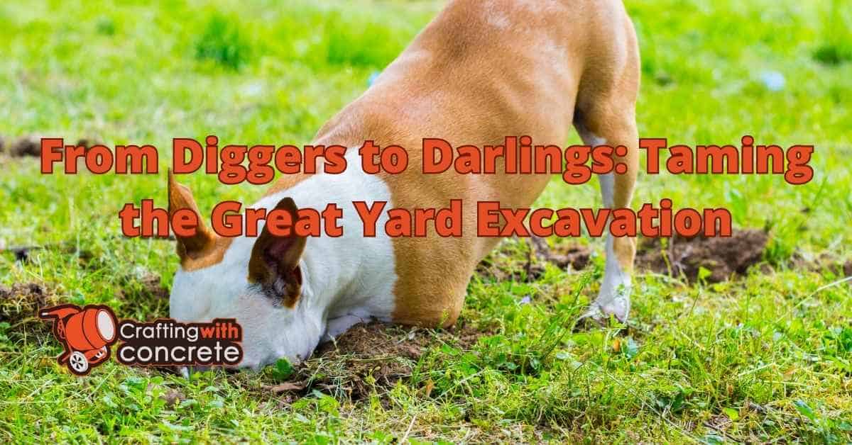 Prevent Animals from Digging Holes in Yard - craftingwithconcrete.com