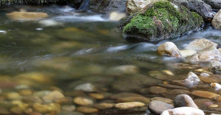 Natural Spring on Your Property: Best Uses & Tips ...