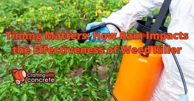 Optimal Timing for Weed Killer Before Rain - craftingwithconcrete.com