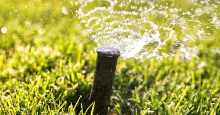 Locate Buried Sprinkler Heads Easily - craftingwithconcrete.com