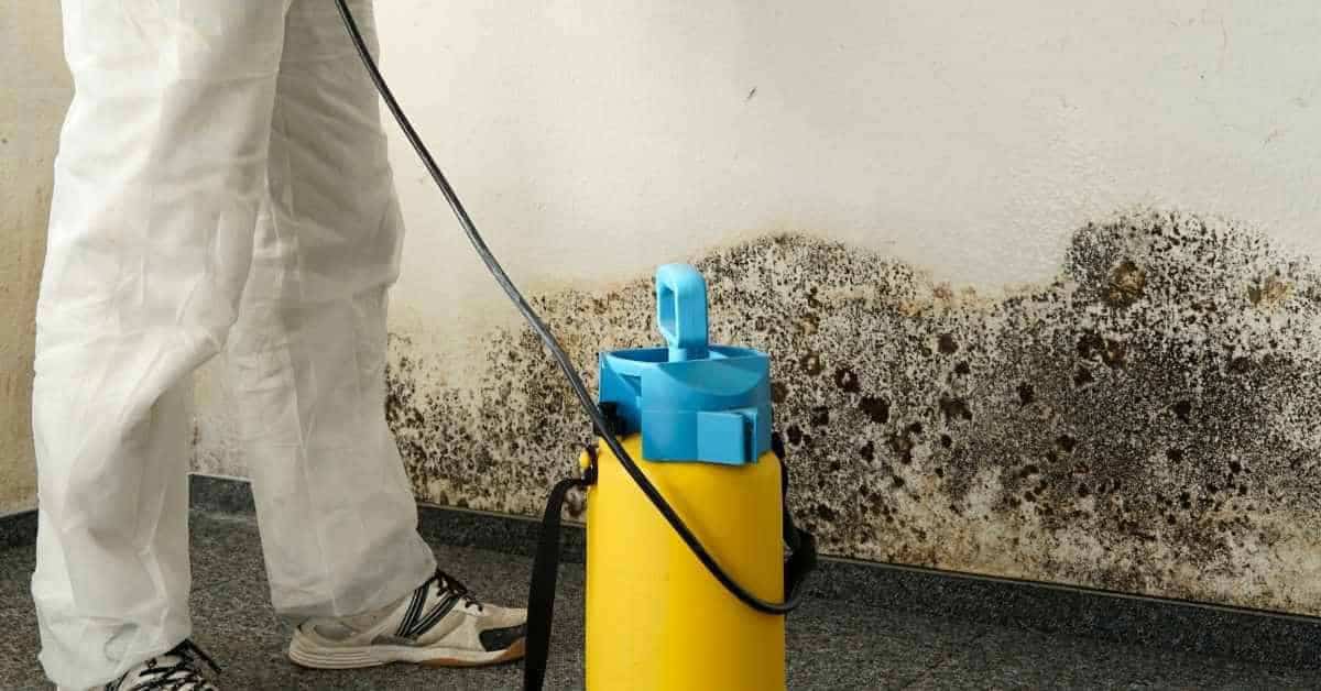 Snow Mold: DIY Guide, Tools, and Common Mistakes - craftingwithconcrete.com