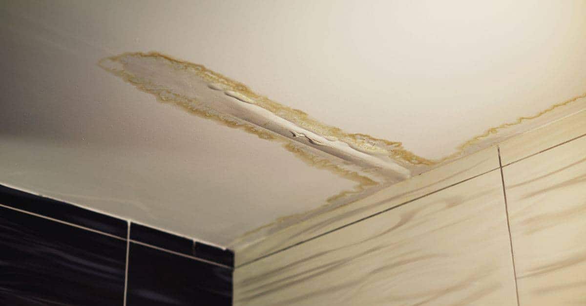 When to Replace Subfloor After Water Damage: DIY Checks + Thresholds ...