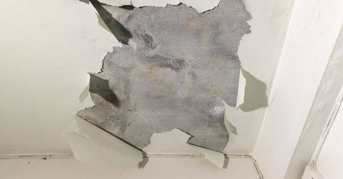 Concrete Efflorescence vs Lime Run: Spotting the Difference and ...