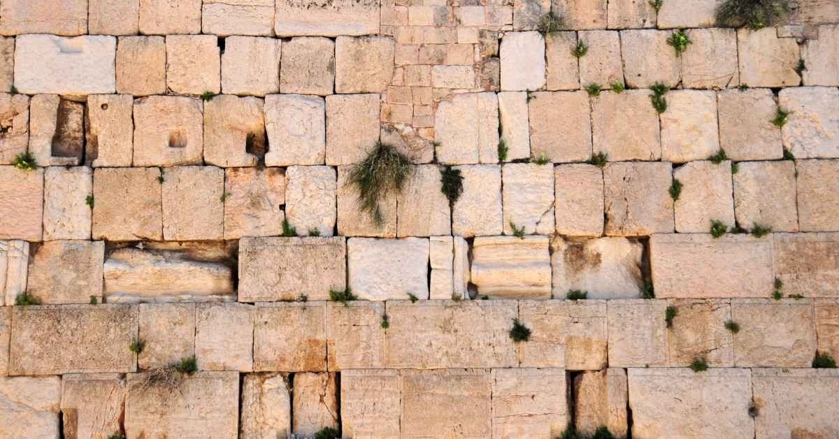 Salt Damage on Brick Steps: Pre-Winter Protection and Repair Strategy ...