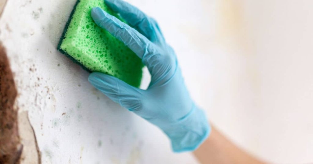 Concrete Paint Prep: Cleaning, profiling, and drying for adhesion ...