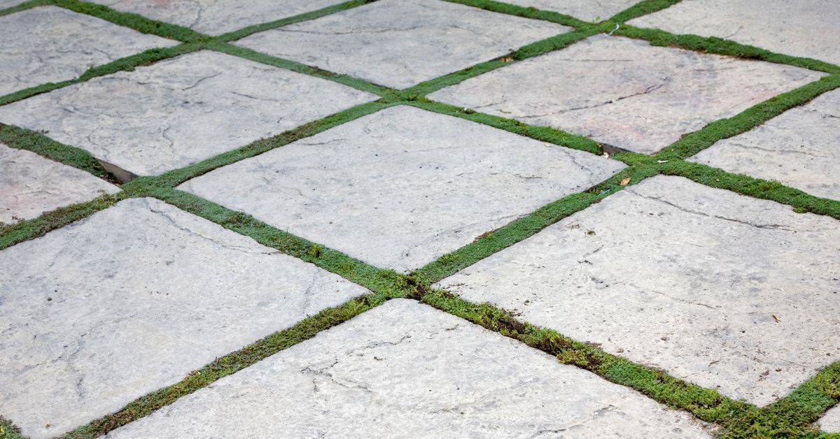 Edge Restraint for Pavers and Slabs: Why Unrestrained Edges Crack ...